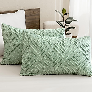 Andency Full Comforter Sets Sage Green, Boho Lightweight and Fluffy Bedding Set for Full Bed, 3 Pieces Tufted Farmhouse Design for All Seasons (79x90Inches, 1 Comforter and 2 Pillow Shams)