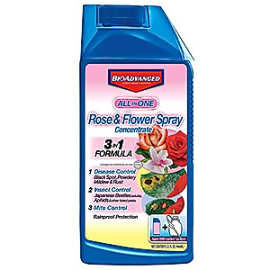 BioAdvanced All-in-One Rose and Flower Spray For Insects, Concentrate, 32 oz