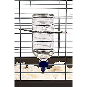 LIXIT Chew Proof Glass Water Bottle 16oz