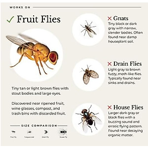 Bye Bye Fruit Fly - Natural Fruit Fly Killer, Liquid Fly Traps for Indoors, Pure Solution Fruit Fly Traps for Indoors Refill Liquid, Safe Near Pets, Food, & Kids, 16 oz