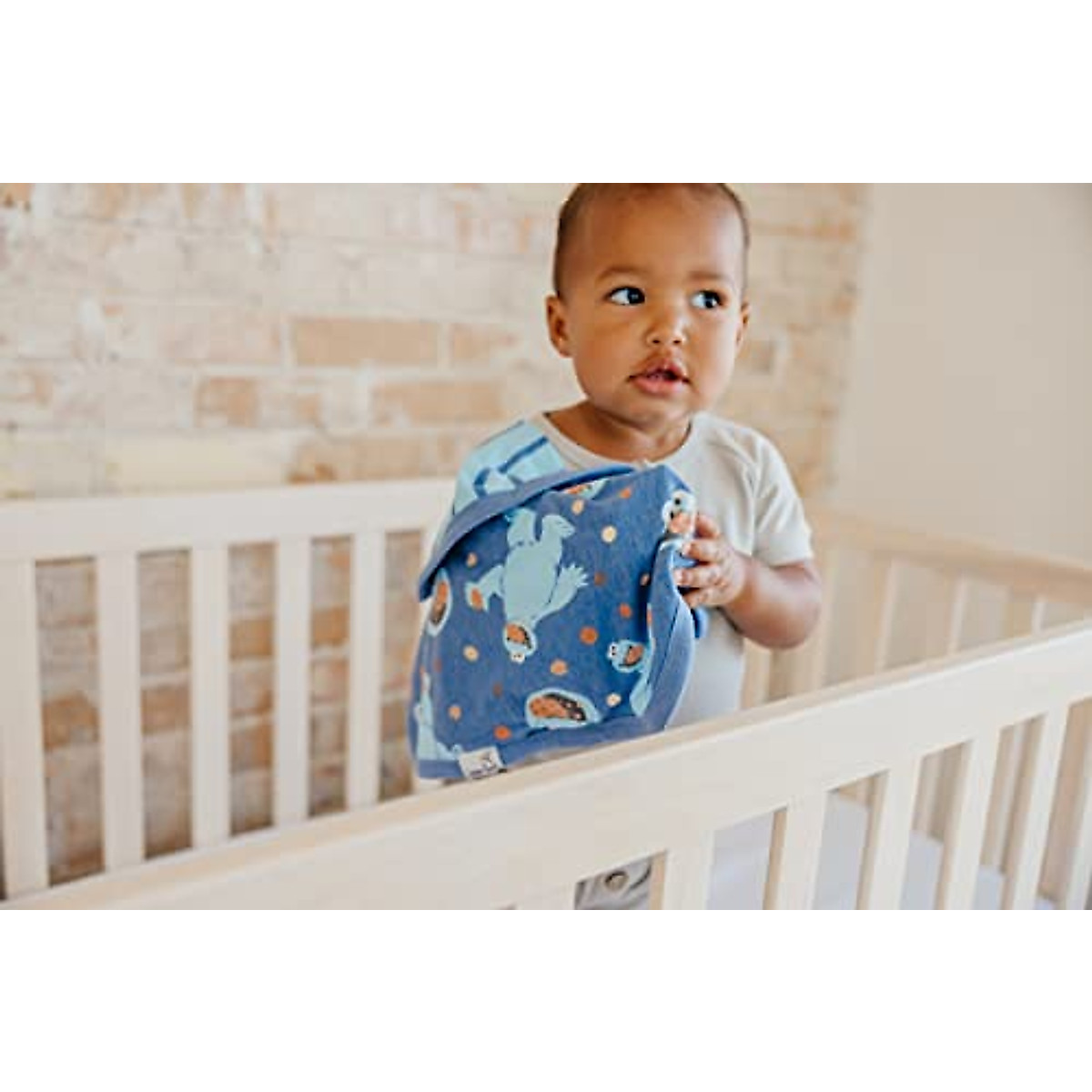 Copper Pearl Baby Security Blanket Set of 2 - Portable Size for Self-Soothing On-The-Go, Ideal Baby Blankets for Boys and Girls, Ultra-Soft, and Gift-Ready Loveys - Cookie Monster