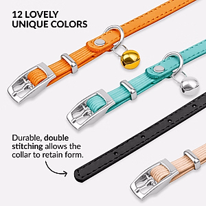 CollarDirect Leather Cat Collar with Bell - Kitten Collar, Small and Big Cat Collar for Boy Cats, Girl Cats with Safety Elastic Strap (Neck Fit 8"-11", Black)