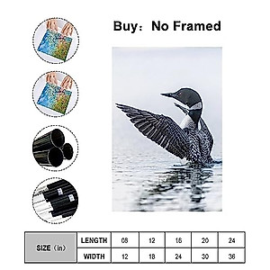 Loon Bird Wings Beautiful Canvas Poster Bedroom Decor Sports Landscape Office Room Decor Gift,Canvas Poster Wall Art Decor Print Picture Paintings for Living Room Bedroom Decoration 8x12inchs(20x30cm)