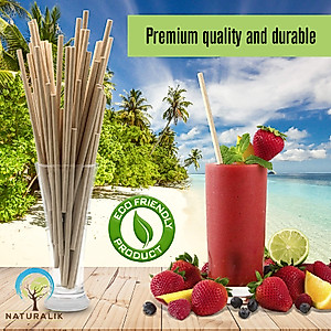 Naturalik 1000-Pack Sturdy Biodegradable Paper Straws Heavy-Duty, Dye-Free, Eco-Friendly Sturdy Paper Straws Bulk Drinking Straws for Smoothies, Restaurants and Party Decorations 7.7" (Brown, 1000pc)