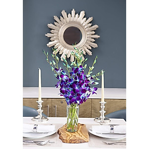 KaBloom Flowers - Easter Collection - Exotic Sapphire Orchid Bouquet of Blue Orchids from Thailand with Vase - Gift for Birthday,Thank You, Valentine, Mother’s Day Fresh Flowers