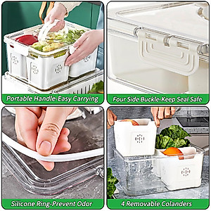 Tyyfnn Fruit Storage Containers with Lids and Handle, Portable Food Storage Container with 4 Removable Colanders for Berry Vegetable Fruit Fresh Produce, Refrigerator Organizer Bins