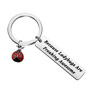HOLLP Ladybug Jewelry Lady Beetle Gift Because Ladybugs Are Freaking Awesome Keychain for Gardener (Because Ladybugs)