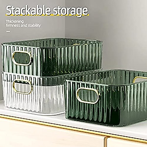 BIEDUM 2 Pack Open Compartment Clear Plastic Organizer, Rectangular Makeup and Vanity Storage Bin and Pantry Caddy with Pass-Through Handles for Bathroom Kitchen Refrigerator Organizers and Storage