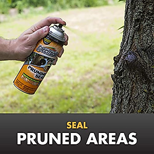SPECTRUM BRANDS 69000 Spectracide Pruning Seal (Aerosol) (HG-69000) (13 oz), Case Pack of 1,Black