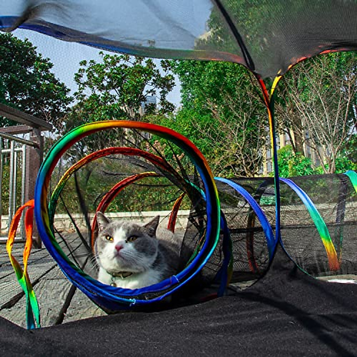 LUCKITTY Outdoor Rainbow Cat Enclosures Playground,Outside House for Indoor Cats Include Portable Cat Tent, Circle Cat Playpen Tunnel, for Cats, Kitty and Small Animals,Within Storage Bag