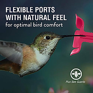 Perky-Pet 9111-1SR Cactus Top Fill Glass Hummingbird Feeder with Built-in Bee Guards & Removable Perches - 32 oz Outdoor Garden Décor Hummingbird Feeder