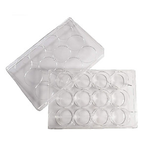 ADVANGENE 12 Well Treated Sterile Flat Tissue Culture Plate (50/Case)