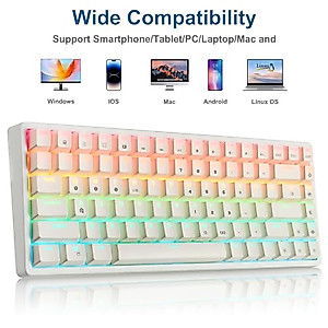 HUO JI Wireless Mechanical Gaming Keyboard, Programmable RGB Backlit, Bluetooth 5.0, Red Switches, 84 Keys, Wired 60% Keyboard for iPad, iMac Android/Windows Tablet Laptop Desktop, White
