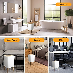 WVIOUOPU 2.6 Gallon/10 Liter Bathroom Kitchen Trash Can with Lid - Office Waste Basket Modern with Press Top Lid - Small Trash Bin Dog Proof Garbage Can with Pop-up Lid for Living Room Toilet (White)