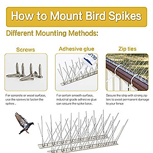 SEEKSEE 10 Pack Bird Spikes –13 inch Pigeon Spikes Anti-Bird Nails Bird Repellent Metal Bird Deterant Spinners of Stainless Steel Bird Spikes for Pigeon and Other Small Birds (10.8 Feet)