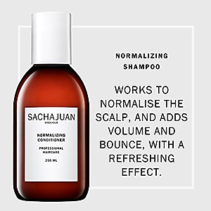 SACHAJUAN Normalizing Shampoo, 3.4 Fl Oz