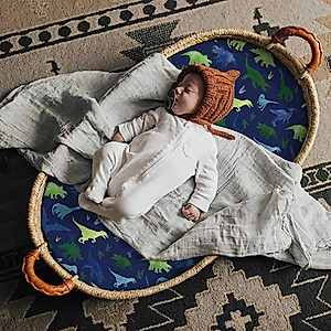 Boy Crib Sheet & Changing Pad Cover, Dinosaur Nursery Bedding, Dinosaur Sheets for Baby Toddler Mattress