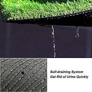 Oziyrnka Chicken Nesting Pads, 6Pcs 12"x12"x1.22" Washable Plastic Nesting Pads for Chicken Coop+ Chicken Veggies Holder for Hens 1pcs, Nesting Box Pads for Chicken Coop, Reusable Chicken Box Nesting