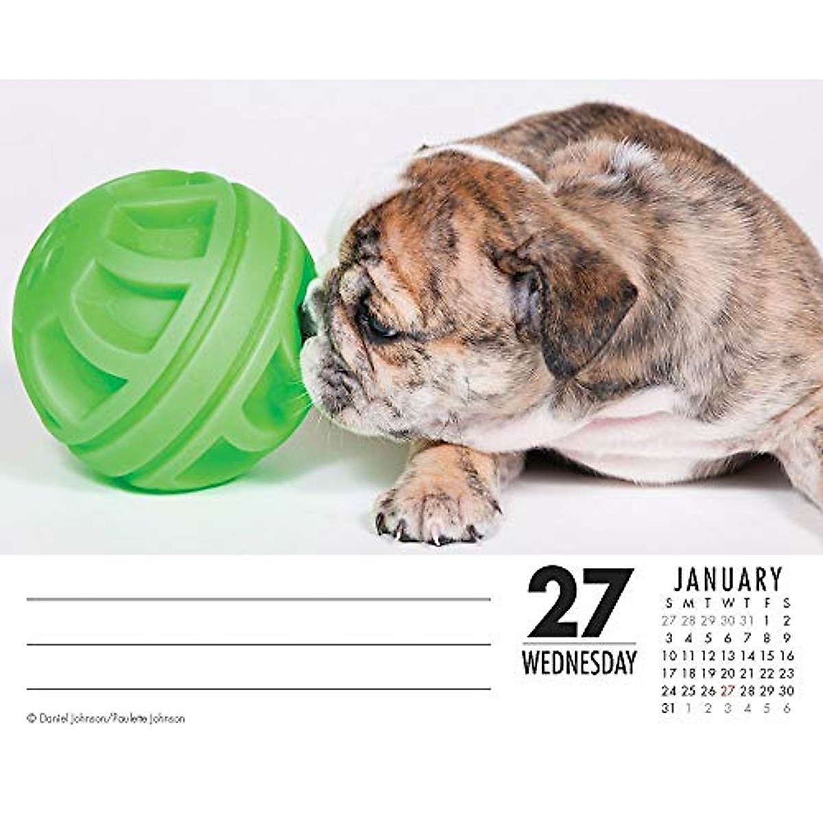 Just Bulldogs 2021 Box Calendar (Dog Breed Calendar)