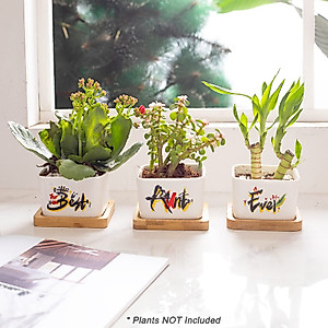 OWYR Aunt Gifts for Women- Succulent Pots Birthday Gifts for Auntie from Niece or Nephew Best Aunt Ever for Her Perfect for Birthday or Christmas