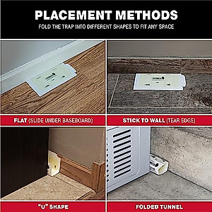 Catchmaster Mouse and Insect Glue Boards, 75-Pack Mouse Traps Indoor for Home, Sticky Pest Control Adhesive for Catching Bugs, Rats & Rodents, Non Toxic Bulk Glue Traps