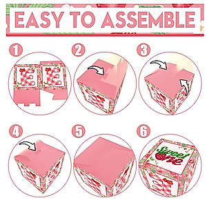 Strawberry Balloon Boxes 1st Birthday Party Supplies Strawberry Backdrop One Birthday Balloon Blocks Decorations for Baby Girl First Birthday Strawberry Party Decorations Supplies