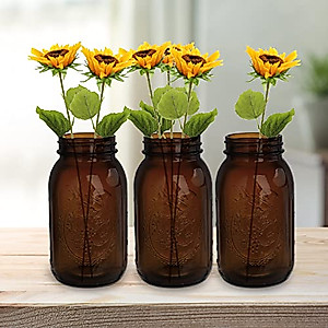 Tebery 6 Pack Amber Regular Mouth Quart Mason Jars, 32oz Canning Glass Jars with Airtight lids and Bands