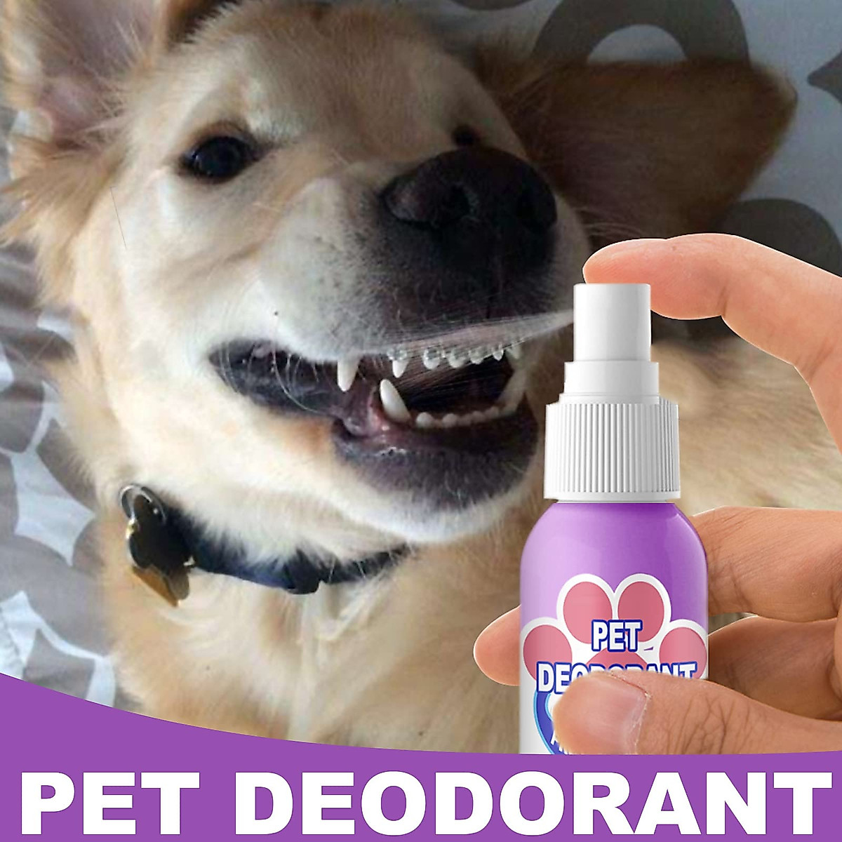 Petry Oral Spray - Petry Teeth Cleaning Spray for Dogs & Cats, Pet Breath Freshener Spray Care Cleaner, Pet Bad Breath Treatment (1 Pc)