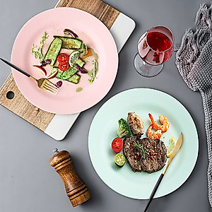 NA 10" 11" Dinner Plates Set of 10, Reusable Wheat Straw Dessert Dishes, Round Pasta Salad Serving Plate, Unbreakable Fiber Dinnerware for Party Steak Pizza (Pink)