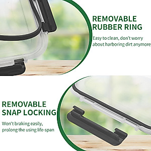 Skroam 5-Packs 36OZ Glass Airtight Food Storage Containers 3 Compartments, Glass Meal Prep Container Set with Lids for Pantry Kitchen Organizers and Storage, BPA Free Glass Lunch Boxes Bento