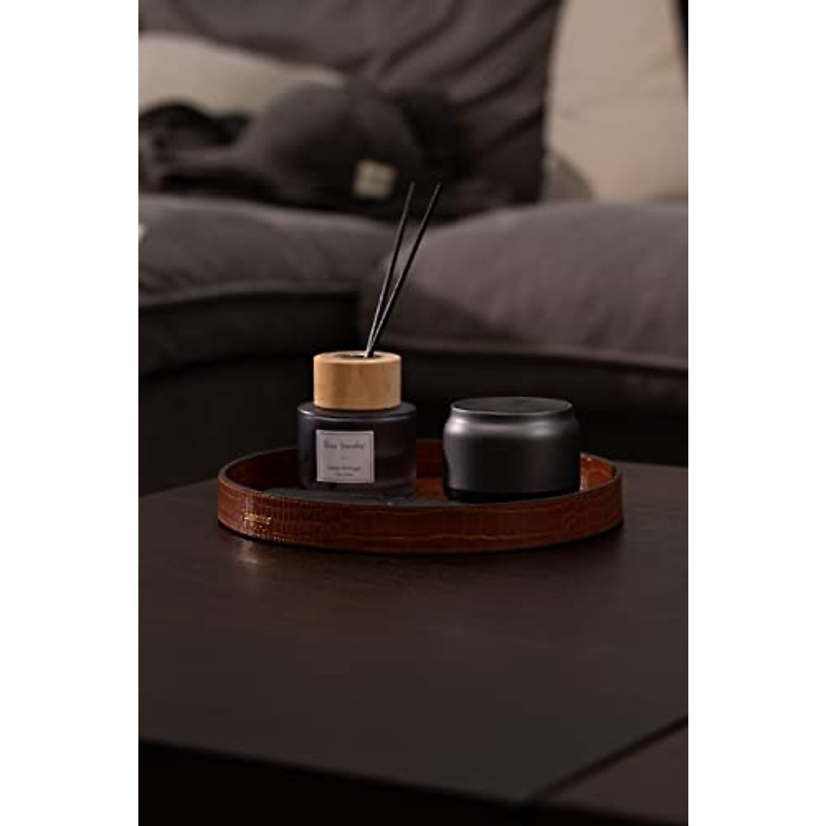 Cockatoo Faux Leather Round Tray, Decorative Coffee Tray for Ottoman, Living Room & Modern Home Decor (Medium/9", Arabian Spice)