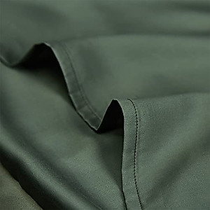 DISANGNI 100% Mulberry Silk Silk Pillowcase, Used for Hair and Skin, Envelope Type, Silk on one Side and Tencel on The Other Side, Count 600, 1pc (Green, Queen(50x75cm))