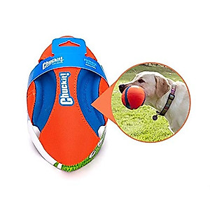 Chuckit! Fumble Fetch Dog Toy, Outdoor and Indoor Dog Toy Small
