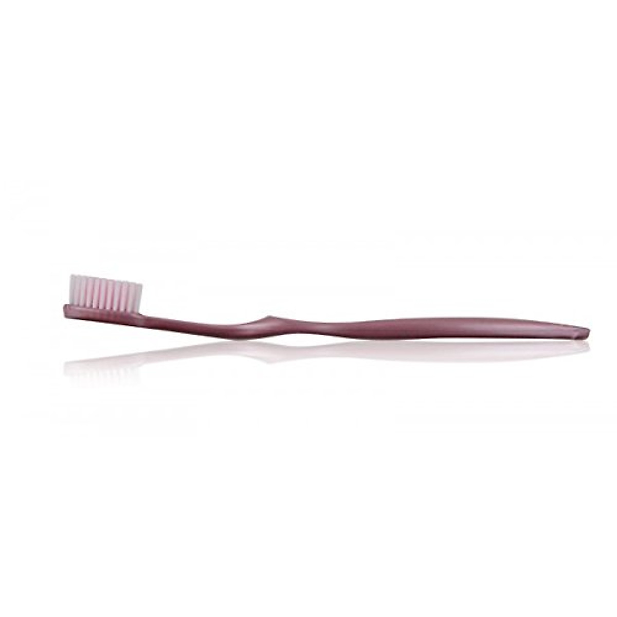 Tess Oral Health 3920C Concept Curve Soft Bristle, Pearlescent Toothbrush (1 Dozen) - Elevate Your Dental Care Experience
