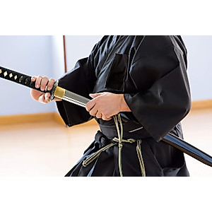 HMS Unsharpened Iaido Training Wakizashi Sword, Stainless Steel, Full Tang, Samurai Bamboo Tsuba, Black Scabbard