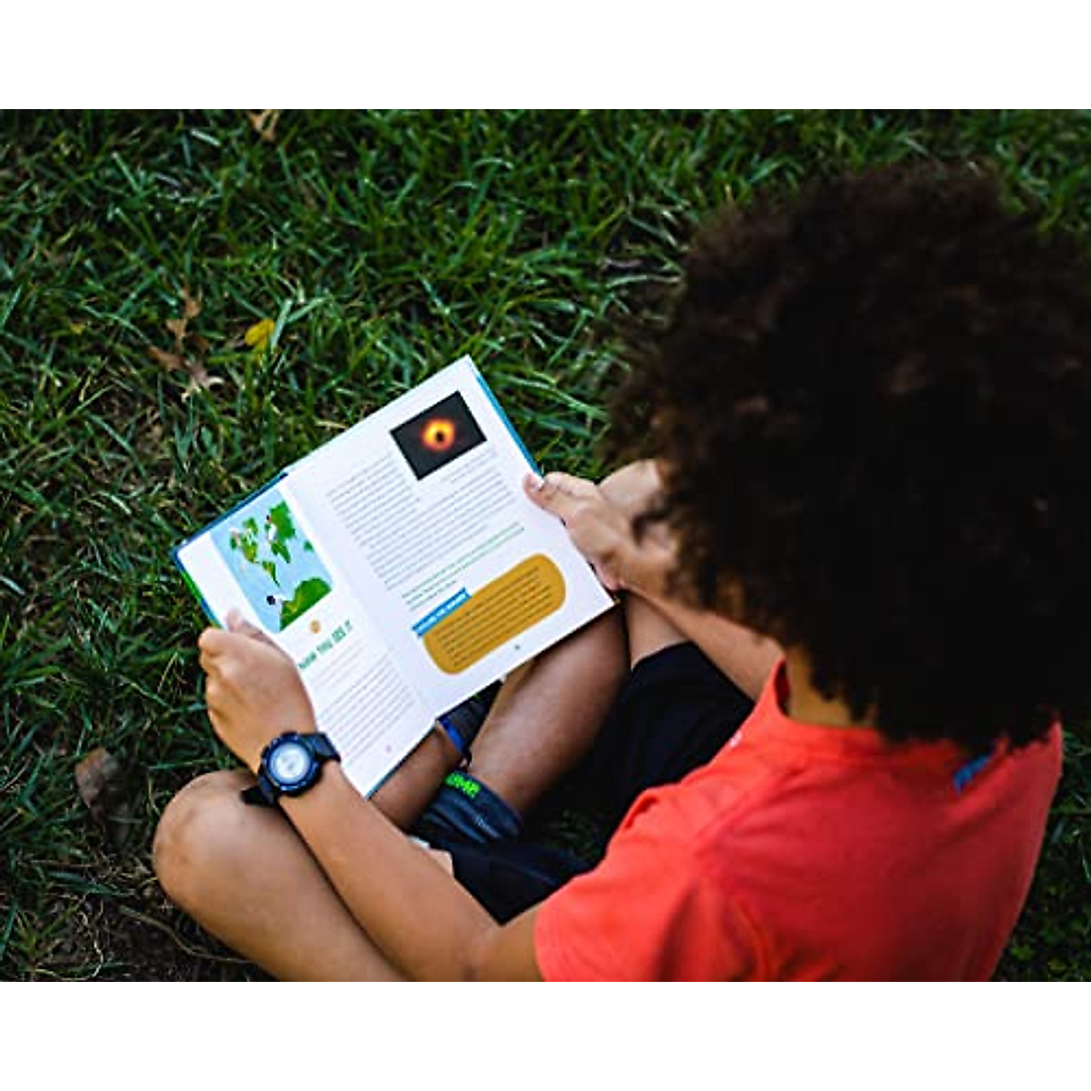 The Wonder of Creation: 100 More Devotions About God and Science (Indescribable Kids)