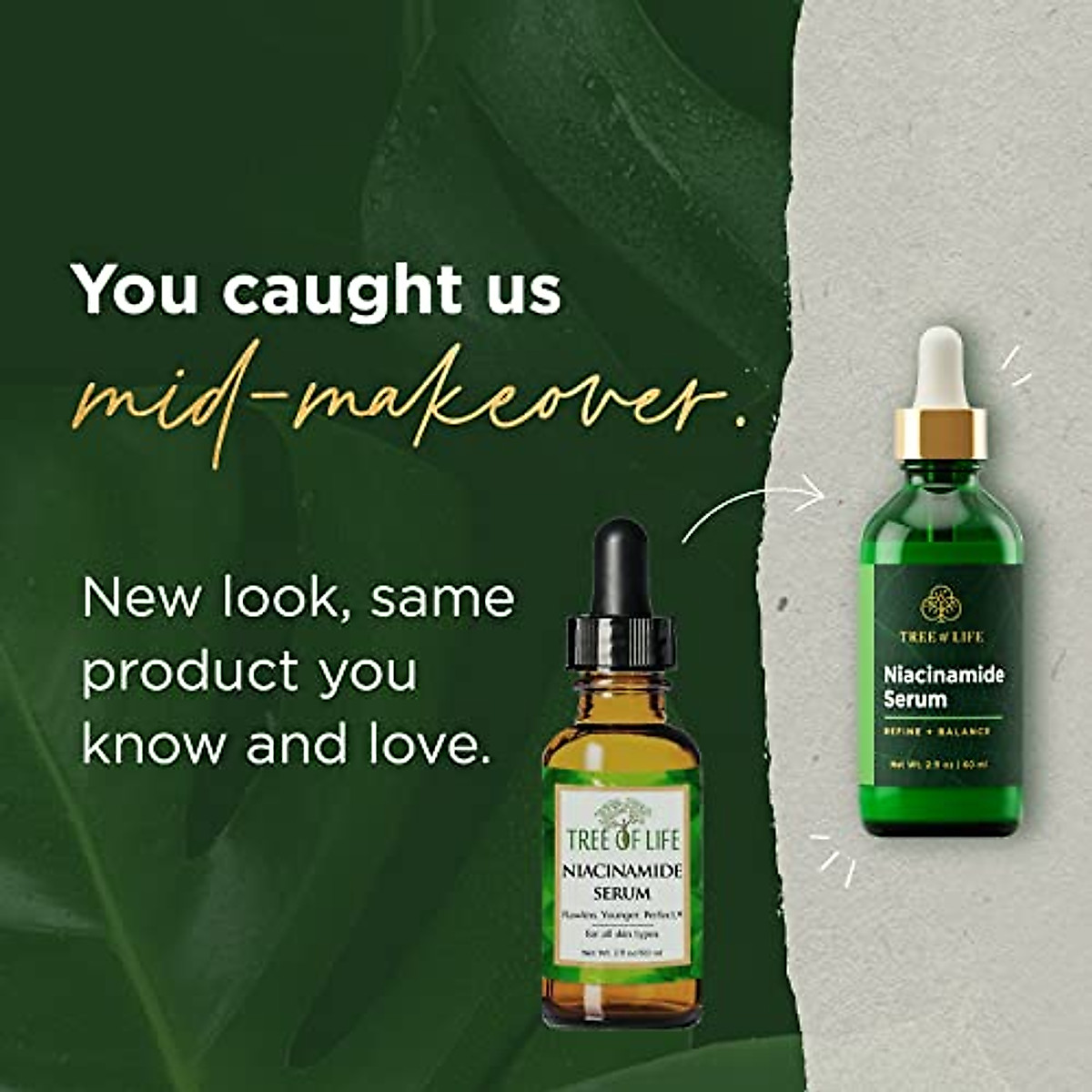 Tree of Life Refining Niacinamide Serum (Vitamin B3) Facial Serum with Hydrating Hyaluronic Acid; Refine & Balance Skin + Minimize Pores, Clean Dermatologist-Tested Skin care, Bonus Size 2 Fl Oz