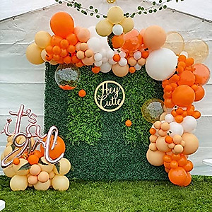 DUBEDAT Orange White Gold Balloon Garland Little Cutie Baby Shower Decorations with Eucalyptus,Orange and White Balloons,Gold Balloons for Girls Birthday,Baby Shower,Gray and Peach Wedding