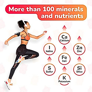 Organic Sea Moss Gummies – Contains Irish Sea Moss + Burdock Root + Bladderwrack – 60 Gummies for Stronger Immune, Healthier Skin & Hair, Detox – Great for Kids & Adults, Made in USA (1)