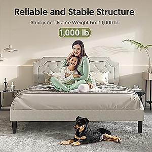 BONSOIR Queen Size Sand Color Bed Frame Upholstered Low Profile Traditional Platform with Tufted and Nail Headboard