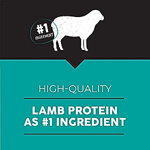 Ultimates Sensitive with Lamb Protein Dry Dog Food (28 lb. Bag)