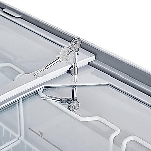 Nexel Ice Cream Freezer, Curved Glass Lid, 49"W