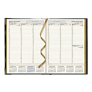 Brownline 2024 Executive Weekly Planner, Appointment Book, 12 Months, January to December, Sewn Binding, 10.75" x 7.75", Trilingual, Assorted Colors, 1 Count (CBE512.ASX-24)