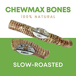 CHEWMAX 6” Trachea Beef Bone Dog Chew