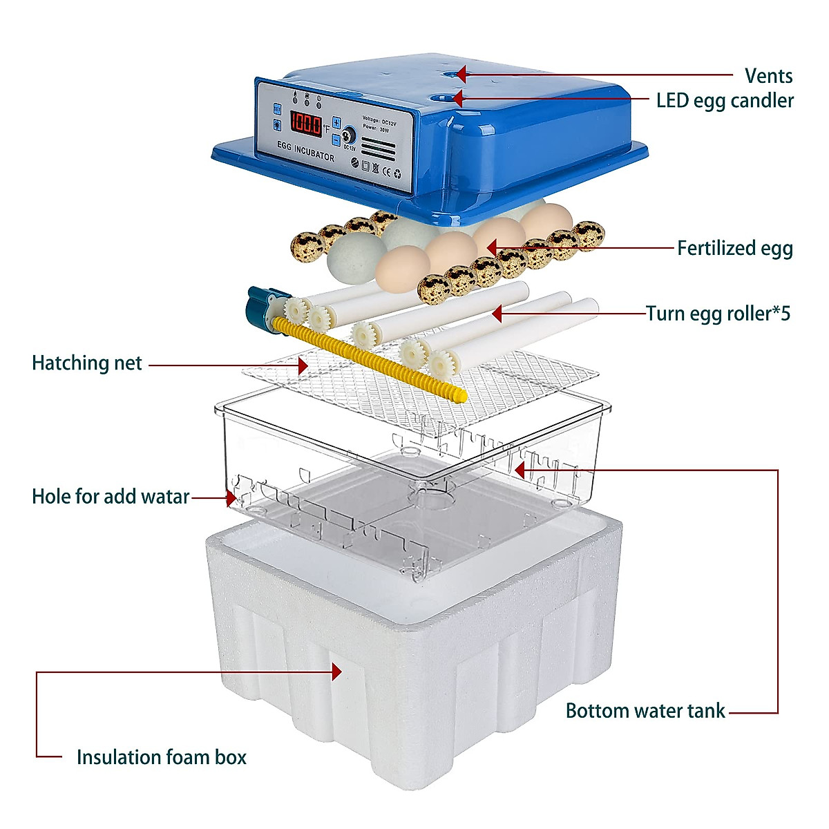 Vevitts 16 Eggs Incubators for Hatching Egg with Automatic Turner, Fahrenheit Temperature Control Chickens Quail Egg Incubator with Led Candler, 12V/110V/220V Incubators Kit for Farm Poultry