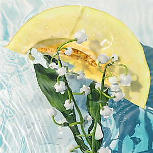 Davidoff Cool Water Eau de Toilette for Women, 1.6 fl oz.