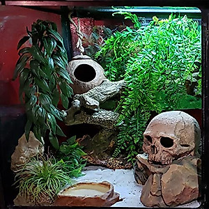 kathson Reptile Habitat Skull Decoration Bearded Dragon Tank Accessories Resin Human Skulls Hide Cave Hanging Vines Plant for Lizards Tortoise Snake Chameleon Spider Reptiles Amphibians(4 PCS)