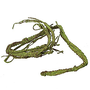 emours Flexible Realistic Jungle Vines Pet Habitat Decor for Lizard,Frogs, Snakes,Chameleons and More Reptiles, 3.6ft Long