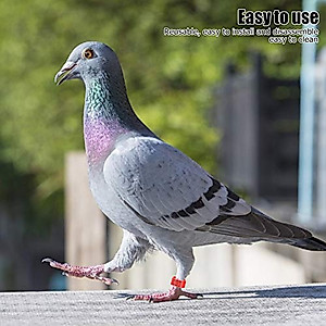 Astibym Bird Clip, 100Pcs Plastic Pigeons Identify Reusable Easy to Use Pigeons Leg Bands 001‑100 Numbered for Parrots(10mm red with Word Ring)