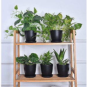 JERIA 10-Pack 5.5 Inch Plastic Plant Pots with Drainage Hole and Trays, Modern Decorative Gardening Pots, Suitable for Indoor and Outdoor, All House Plants, Succulents, Flowers, and Cactus, Black